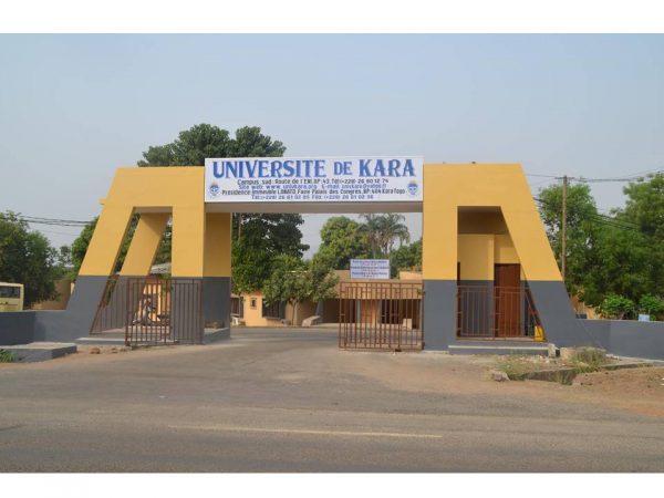 Bourse Elevate Africa 2026 : Une opportunité de leadership pour les ...